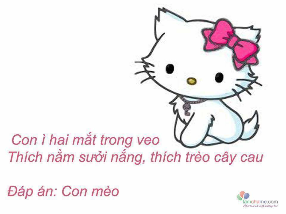 con meo - Bệnh Viện Nhi Đồng Thành Phố